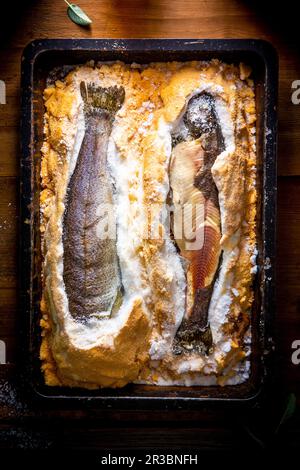 Baked trout in salt crust Stock Photo - Alamy