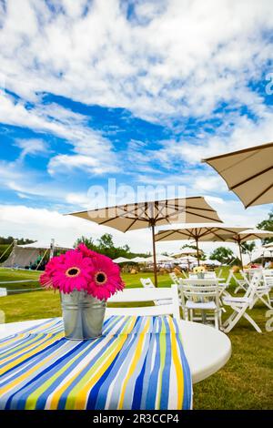 Flower vase orange new year chinese 2021 Stock Photo - Alamy