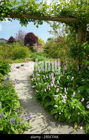 Flower border in an English Elizabethan walled garden Stock Photo - Alamy