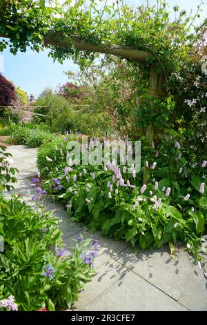 Flower border in an English Elizabethan walled garden Stock Photo - Alamy