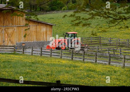 A red Kubota tractor is parked beside a cattle barn on a farm in ...
