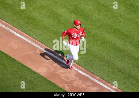 Cincinnati Reds' Luke Maile (22) plays against the Chicago Cubs in a ...