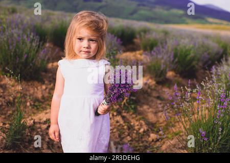 Lavender as a means of pacifying the child Stock Photo - Alamy