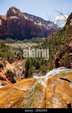 Lower Emerald Pool's Falls, Zion, UT 880620 012 Stock Photo - Alamy