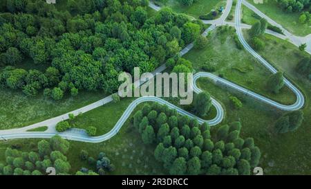 Curvy bike path. Laid between the trees in the park. Drone photography ...