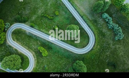 Curvy bike path. Laid between the trees in the park. Drone photography ...