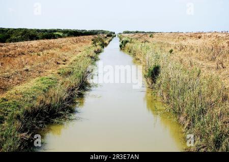 Channel of sewage urban storm water Stock Photo - Alamy