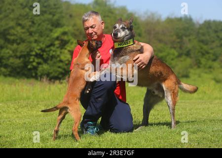 Handler Kruno Stipetic pose for a photo with Belgian shepherd puppy ...