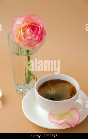 Delicate pink rose on vase on beige background. Minimal composition ...