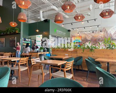 Inside the trendy Scented Leaf Tea House in Tucson AZ Stock Photo - Alamy