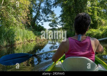 Kayak tour in the Spreewald Stock Photo - Alamy