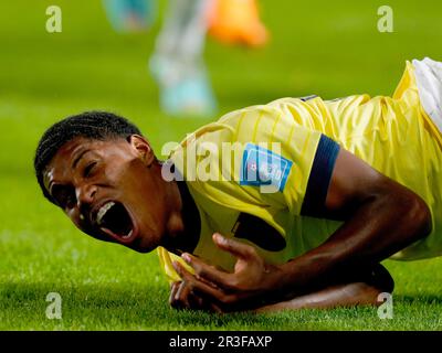 Ecuador's Jose Klinger celebrates after scoring his side's second goal ...