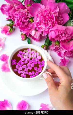 Female hand holding Delicate pink roses on beige background. Minimal ...