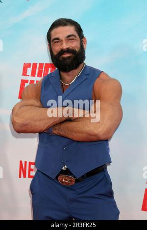 LOS ANGELES - MAY 22: Brett Azar at the FUBAR TV Series Premiere ...
