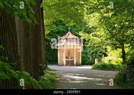 Avenue to the Marien chapel at the castle, Senden, North Rhine ...