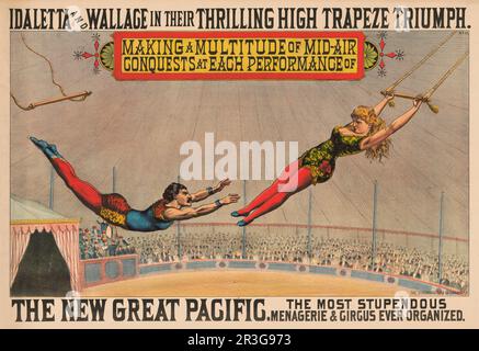 Vintage circus poster showing trapeze, acrobats and flying trampolin ...