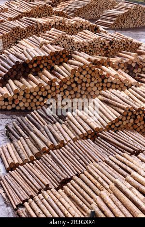 Debarked tree trunks in a log yard Stock Photo - Alamy
