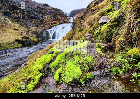 Selvallafoss, Vesturland, Iceland Stock Photo - Alamy