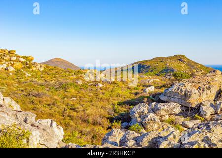 Coastal mountain landscape with fynbos flora in Cape Town South Africa ...