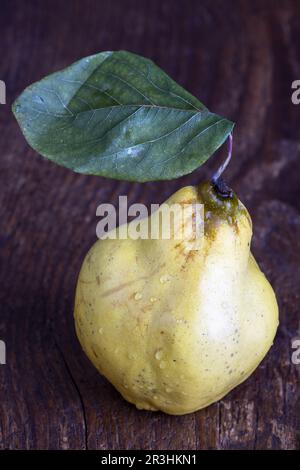 raw quince on dark wood Stock Photo - Alamy