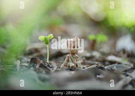 Baby Groot is sitting in green garden at public park. Chiang Mai ...