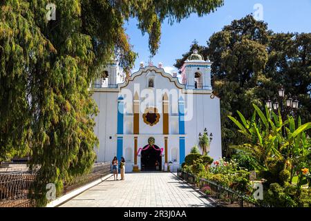 Church at the Arbol de Tule, tree of Tule, Santa Maria del Tule, Oaxaca ...