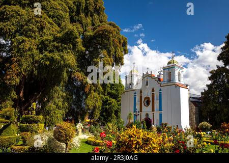 Church at the Arbol de Tule, tree of Tule, Santa Maria del Tule, Oaxaca ...