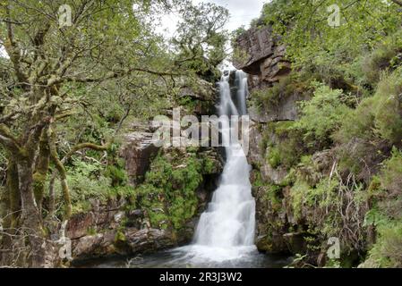 Garve, Ardessie Falls, Scotland, Highland, Great Britain Stock Photo ...