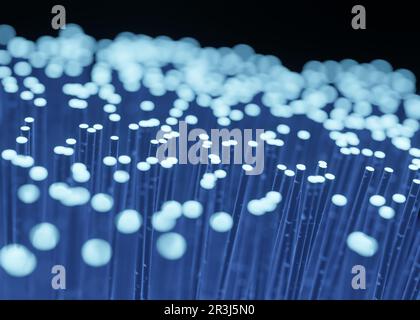 Fibre optic for data transfer transmission Stock Photo - Alamy