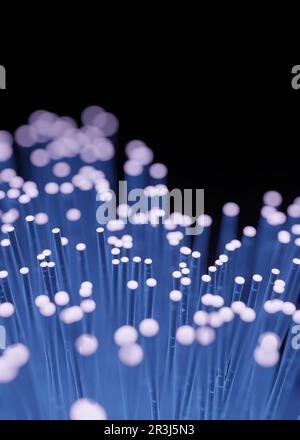 Fibre optic for data transfer transmission Stock Photo - Alamy
