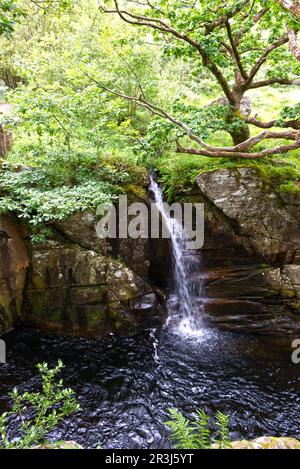 Steall Falls, Fort William, Highland, Scotland, Great Britain Stock ...