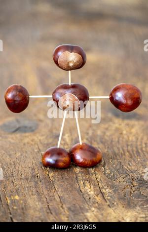 Chestnut figure on white background Stock Photo - Alamy