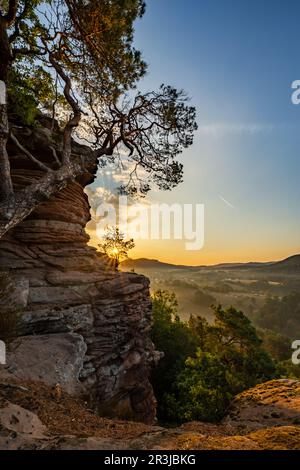 Sunrise above Dahn Rockland seen from Rock Sprinzelfelsen, Dahner ...