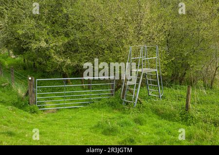 A stile is a ladder over a fence Stock Photo - Alamy