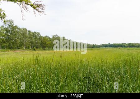 The countryside outside of Berlin in Gatow Stock Photo - Alamy