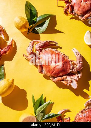 Top view fresh crabs cooked on bbq grill using coil. Gurman dish ...