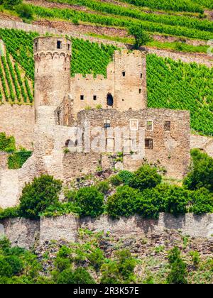 Ehrenfels Castle (Burg Ehrenfels), Rüdesheim am Rhein Stock Photo - Alamy