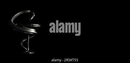 Aesculapian Staff Snake Black Header Stock Photo - Alamy