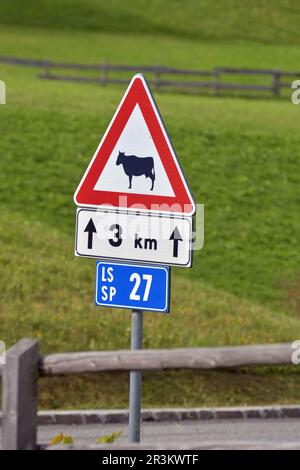 Cows warning traffic sign Stock Photo - Alamy