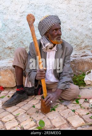 Ethiopian men chewing khat, Harari Region, Awaday, Ethiopia Stock Photo ...
