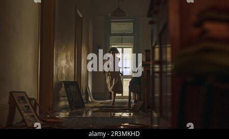 Run Rabbit Run Lily LaTorre Stock Photo - Alamy