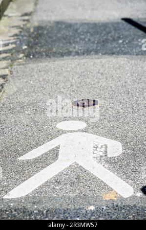 A pedestrian crossing sign is painted on the brick pavement, a common ...