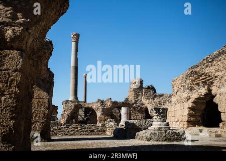 Carthage Baths of Antoninus in Tunisa, Tunisia Stock Photo - Alamy