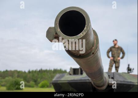 Leopard 2 A6 main battle tank in NATO camouflage Stock Photo - Alamy