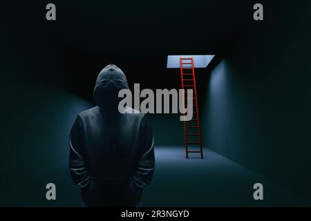 Hacker over red ladder Stock Photo - Alamy