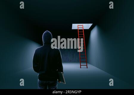 Hacker over red ladder Stock Photo - Alamy