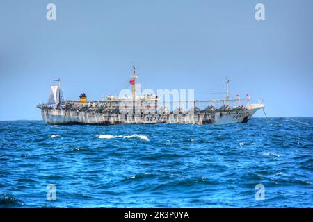 Chinese fishing ships operating in the Drake Strait Stock Photo - Alamy