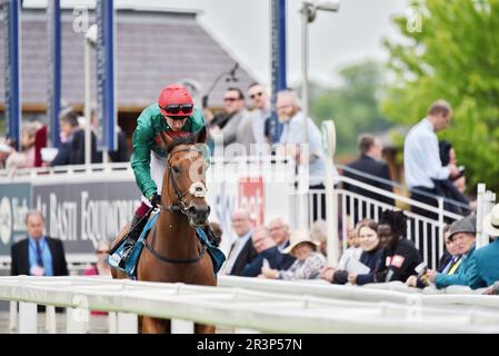 Jockey Oisin Murphy and Horse Mountain Peak at Dante Festival 2023 ...