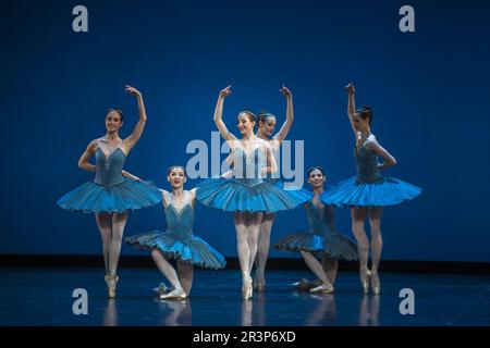 Das Ballett Theme and Variations Stock Photo - Alamy