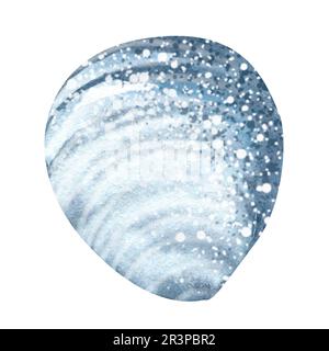 Set of Seashells on isolated white background, watercolor illustration ...